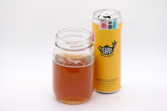 Good Day Iced Tea by TeaPot | the oz.